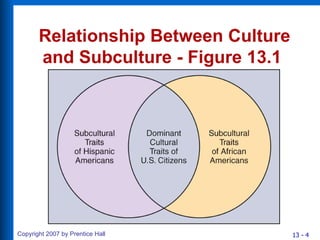 Chapter 13 Subcultures | PPT