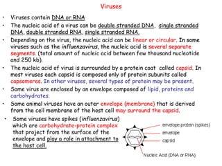 Chapter 13 viruse | PPT