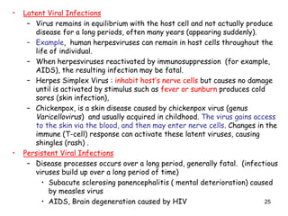 Chapter 13 viruse | PPT