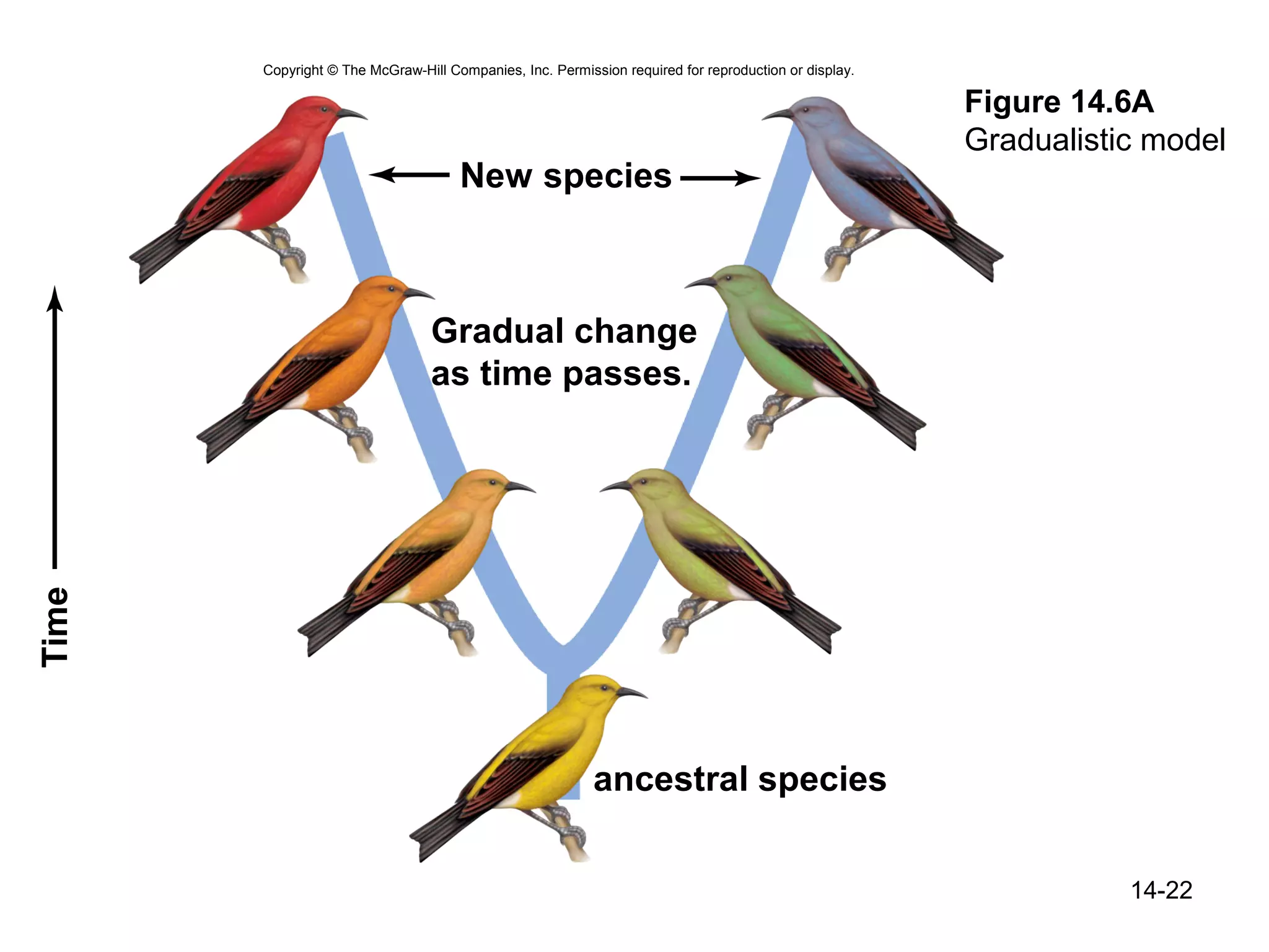Bio 100 Chapter 14 | PPT