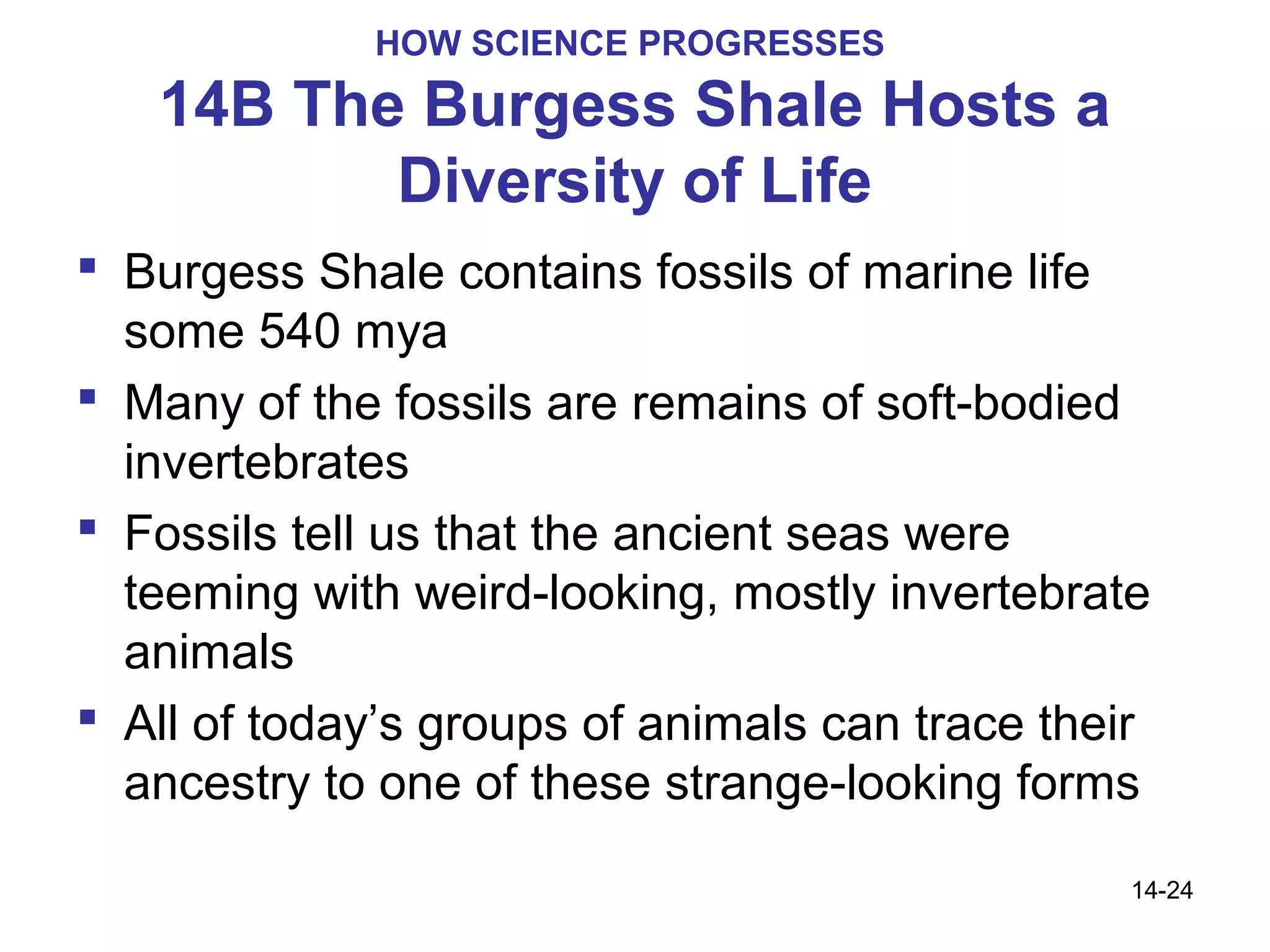 Bio 100 Chapter 14 | PPT