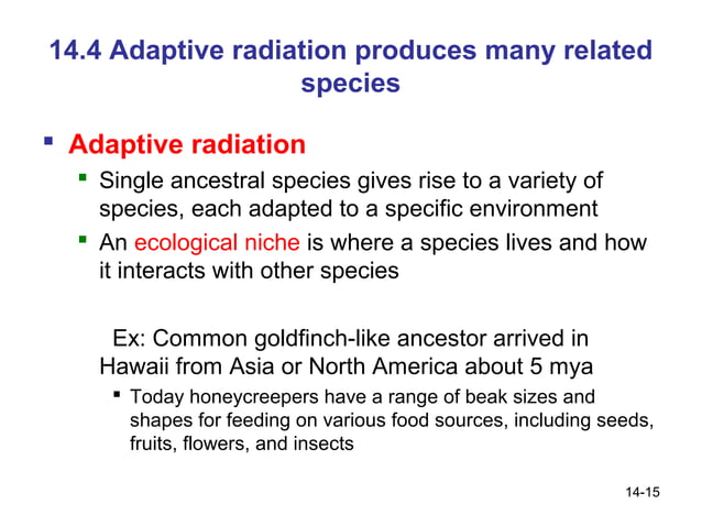 Bio 100 Chapter 14 | PPT