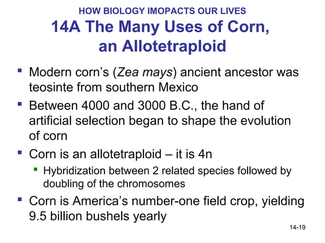 Bio 100 Chapter 14 | PPT