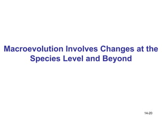 Bio 100 Chapter 14 | PPT