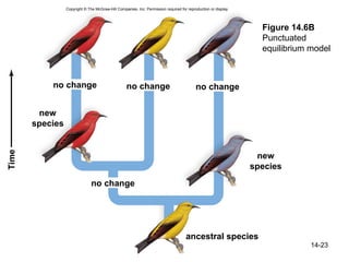 Bio 100 Chapter 14 | PPT