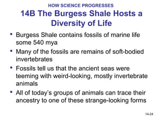 Bio 100 Chapter 14 | PPT