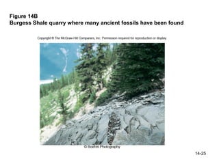 Bio 100 Chapter 14 | PPT