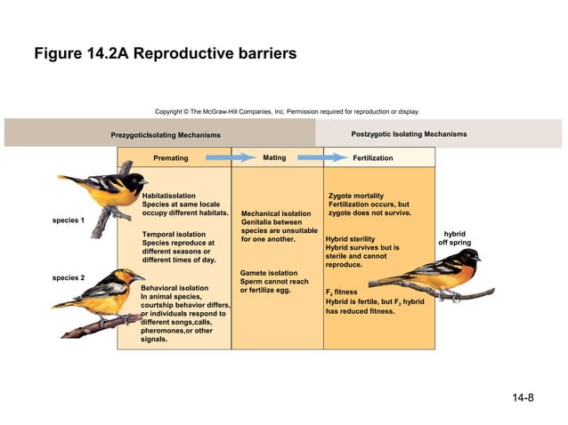 Bio 100 Chapter 14 | PPT