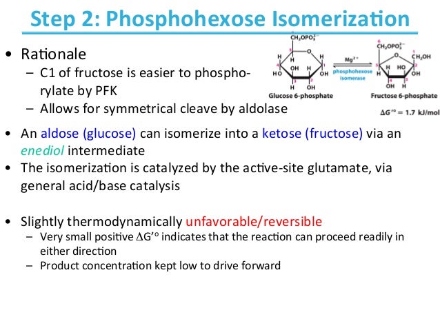 Chapter 14 - Glucose utilization and biosynthesis - Biochemistry
