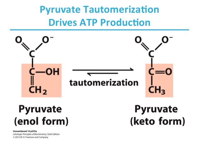 Chapter 14 - Glucose utilization and biosynthesis - Biochemistry
