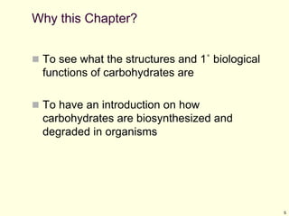 biomolecules carbohydrates | PPTX