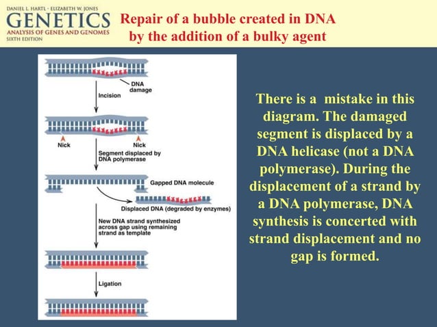 Chapter14.ppt11111111111111111111111111111 | PPT