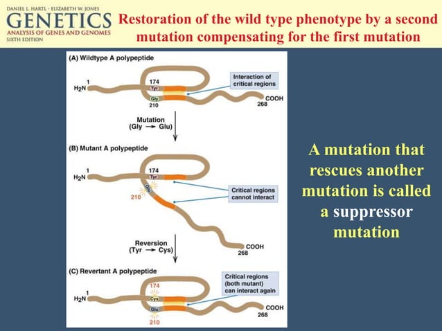Chapter14.ppt11111111111111111111111111111 | PPT