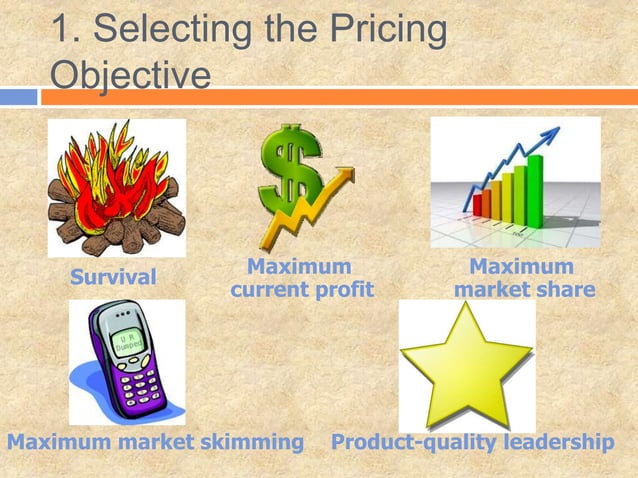 Chapter 14 - Developing Pricing Strategies and Programs | PPTX | Coupons and Discounts | Shopping