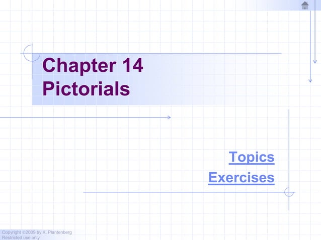 Chapter 14 pictorials - 2010 | PPTX