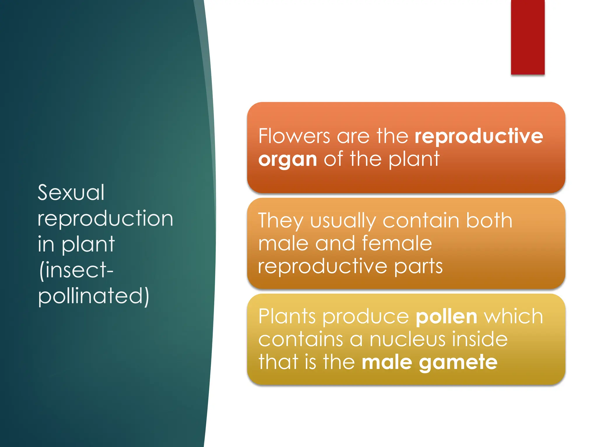IGCSE Biology Chapter 14- Reproduction in Plants.pdf