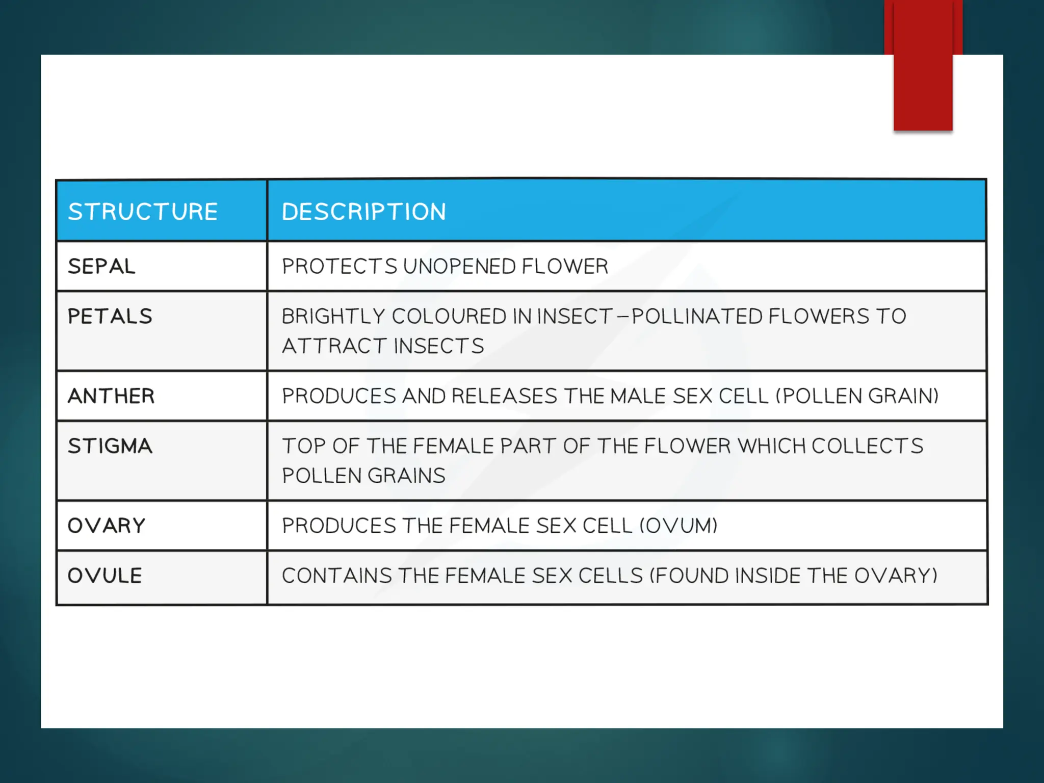 IGCSE Biology Chapter 14- Reproduction in Plants.pdf