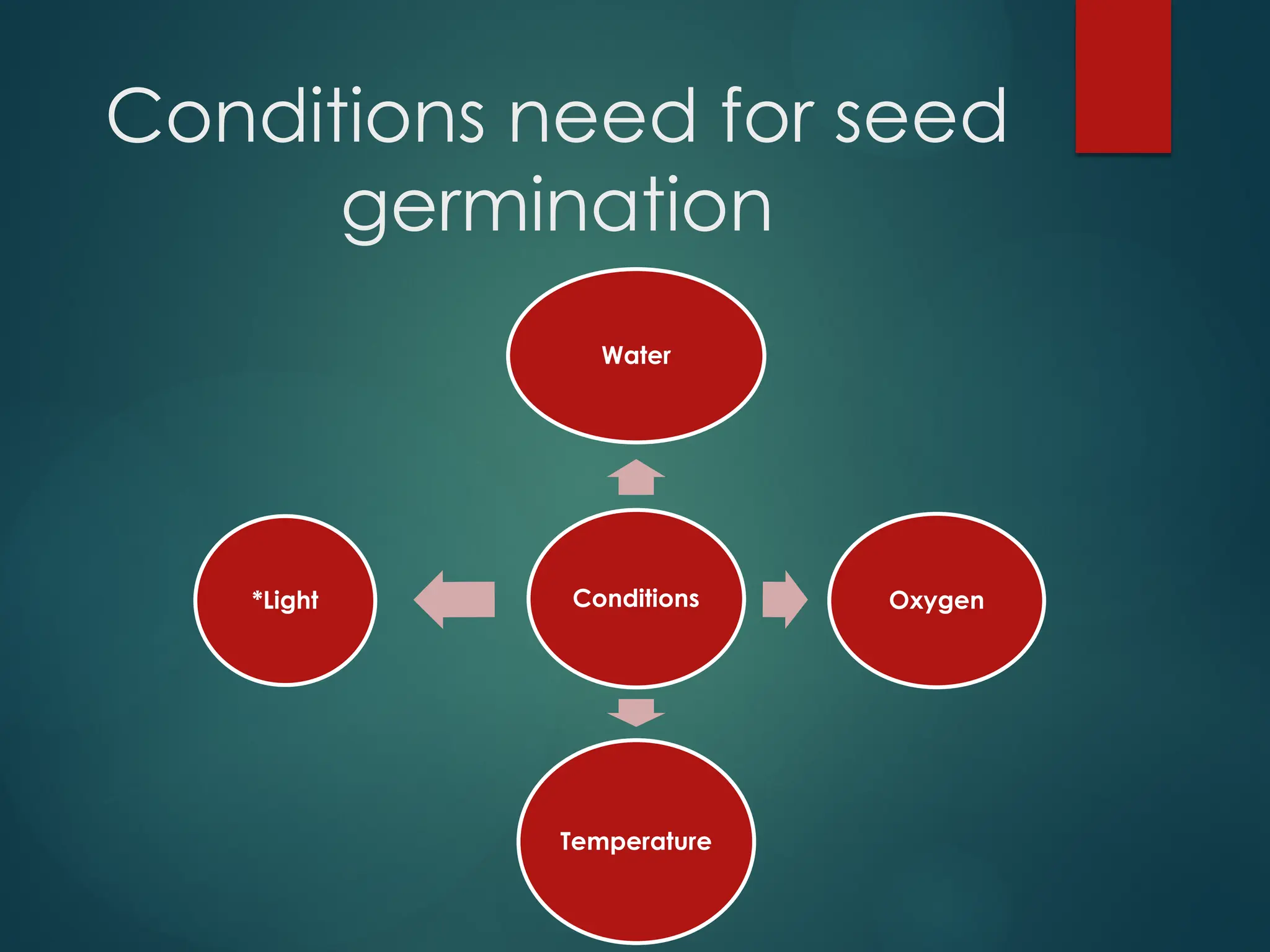 IGCSE Biology Chapter 14- Reproduction in Plants.pdf