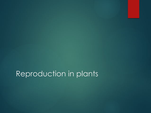 IGCSE Biology Chapter 14- Reproduction in Plants.pdf