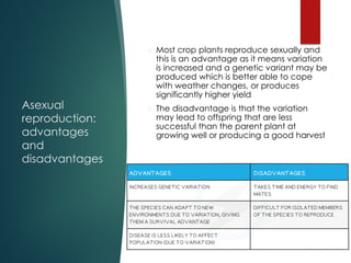 IGCSE Biology Chapter 14- Reproduction in Plants.pdf