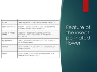 IGCSE Biology Chapter 14- Reproduction in Plants.pdf