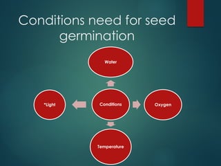 IGCSE Biology Chapter 14- Reproduction in Plants.pdf