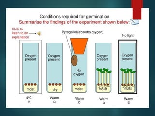 IGCSE Biology Chapter 14- Reproduction in Plants.pdf