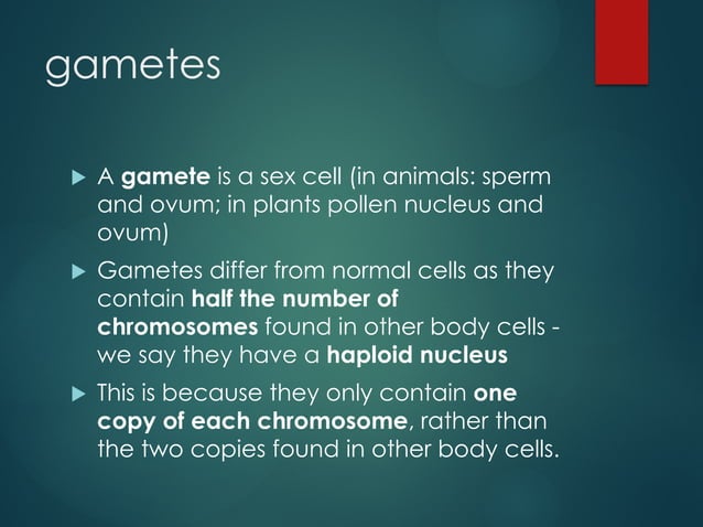 IGCSE Biology Chapter 14- Reproduction in Plants.pdf