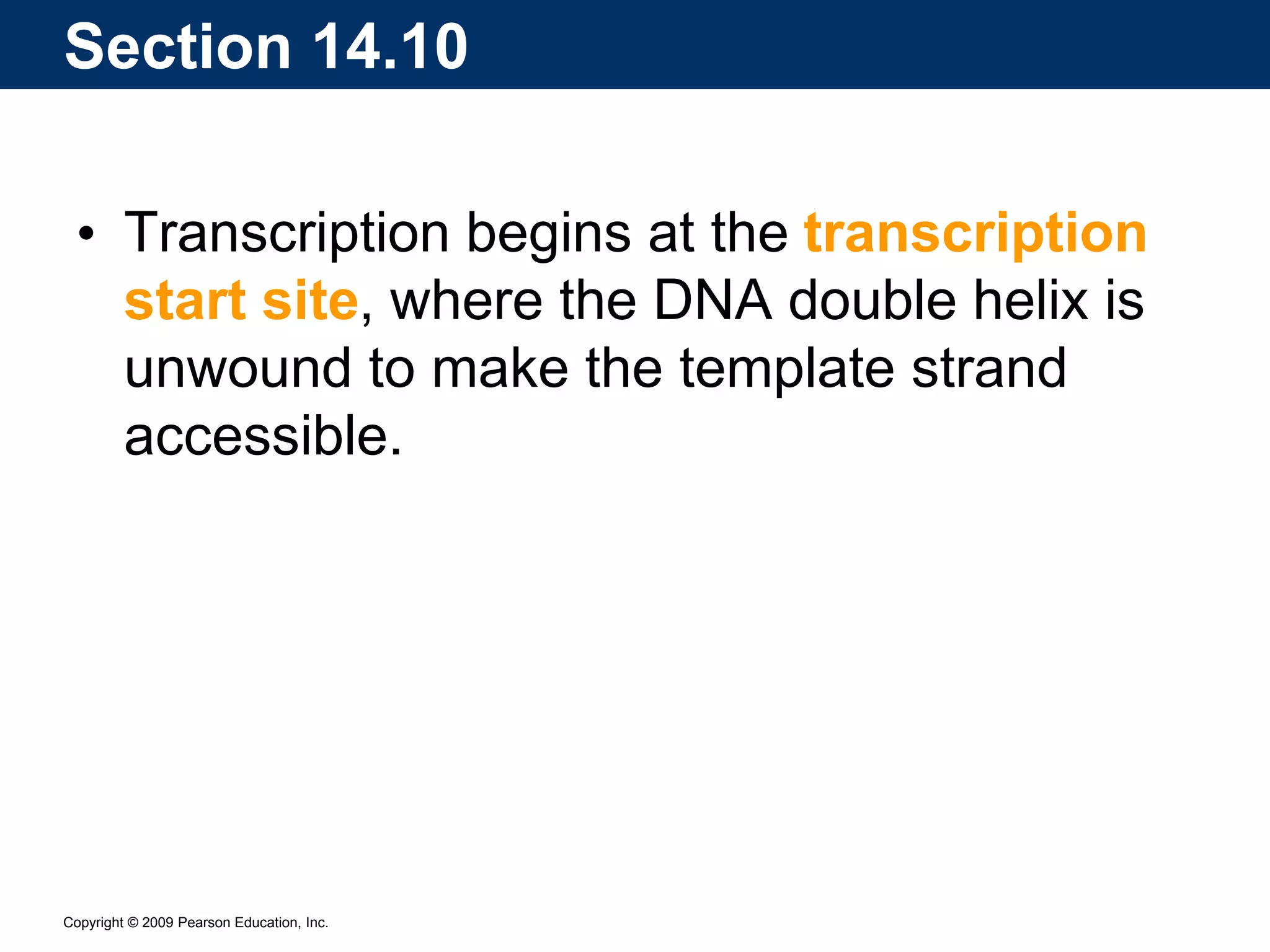 Chapter 14 - The Genetic Code and Transcription Klug.ppt