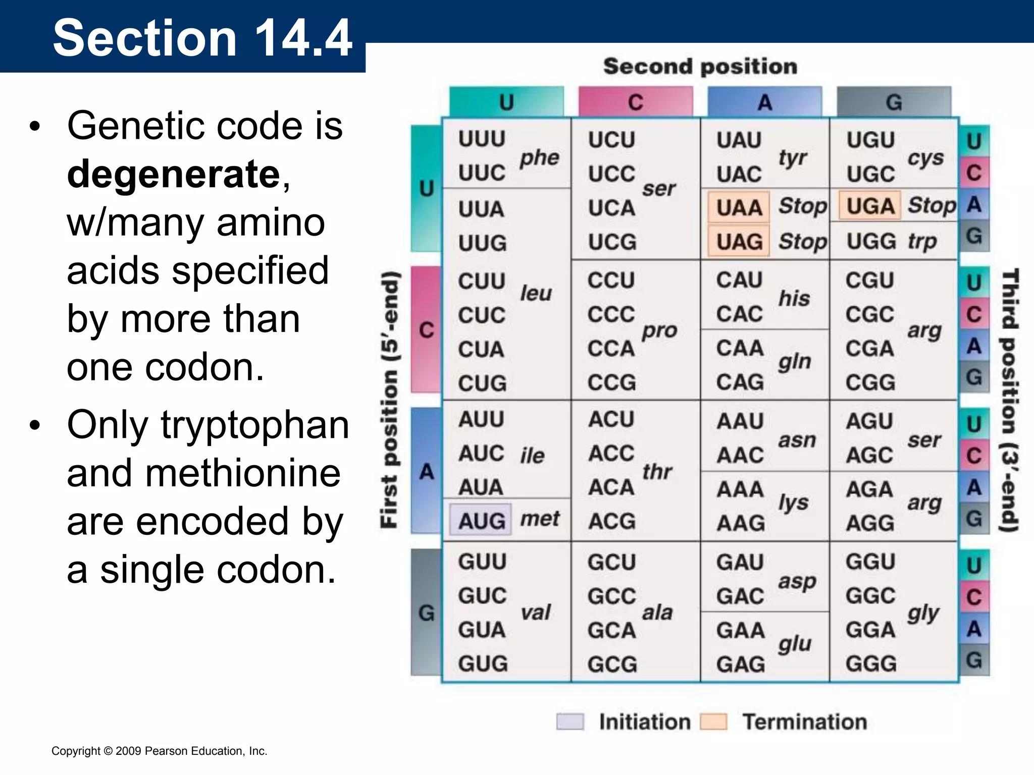 Chapter 14 - The Genetic Code and Transcription Klug.ppt