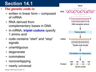 Chapter 14 - The Genetic Code and Transcription Klug.ppt