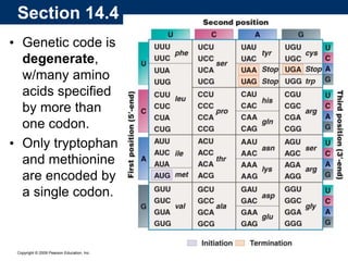 Chapter 14 - The Genetic Code and Transcription Klug.ppt