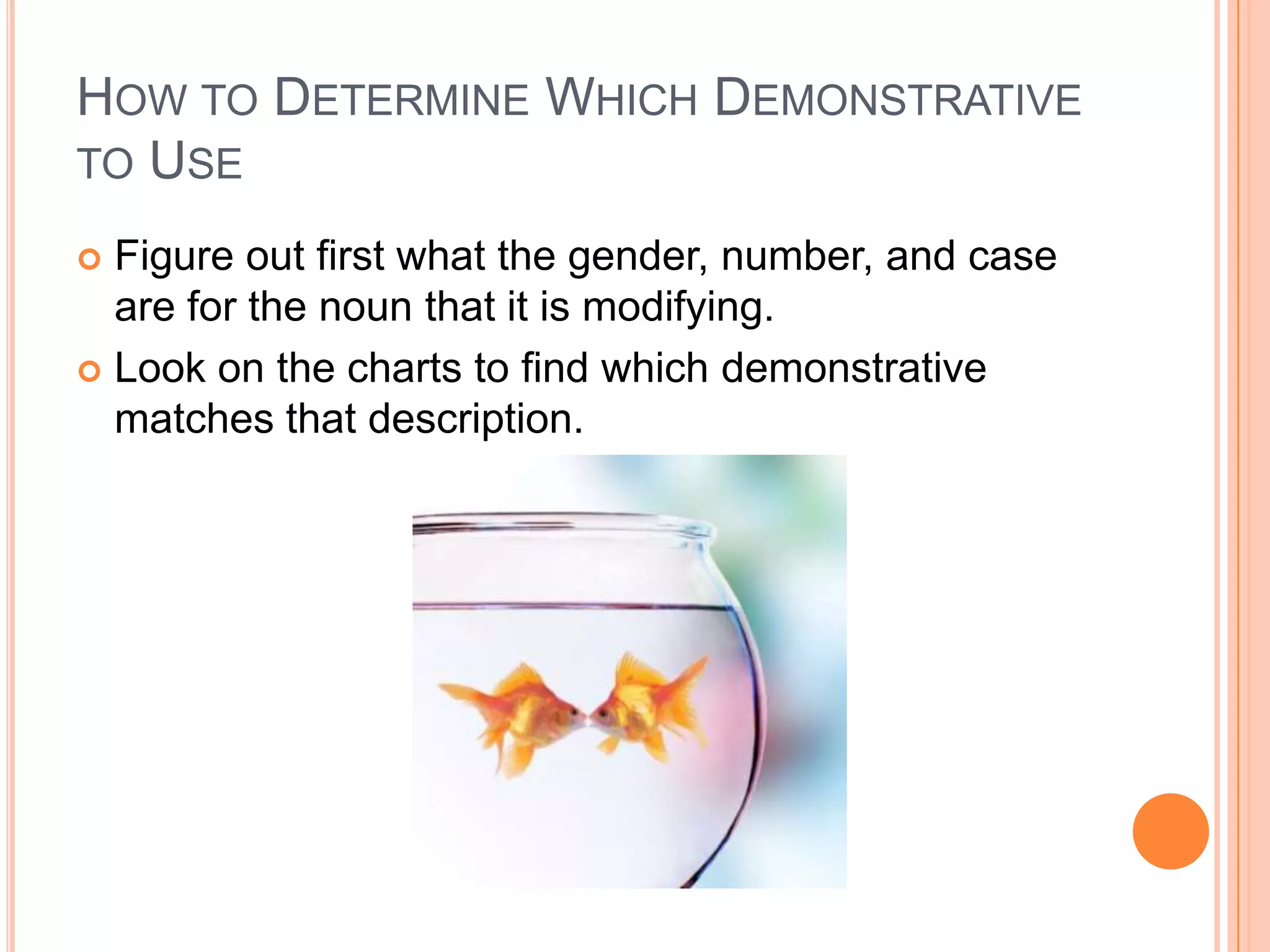 Chapter 14 Demonstrative Pronouns | PPTX