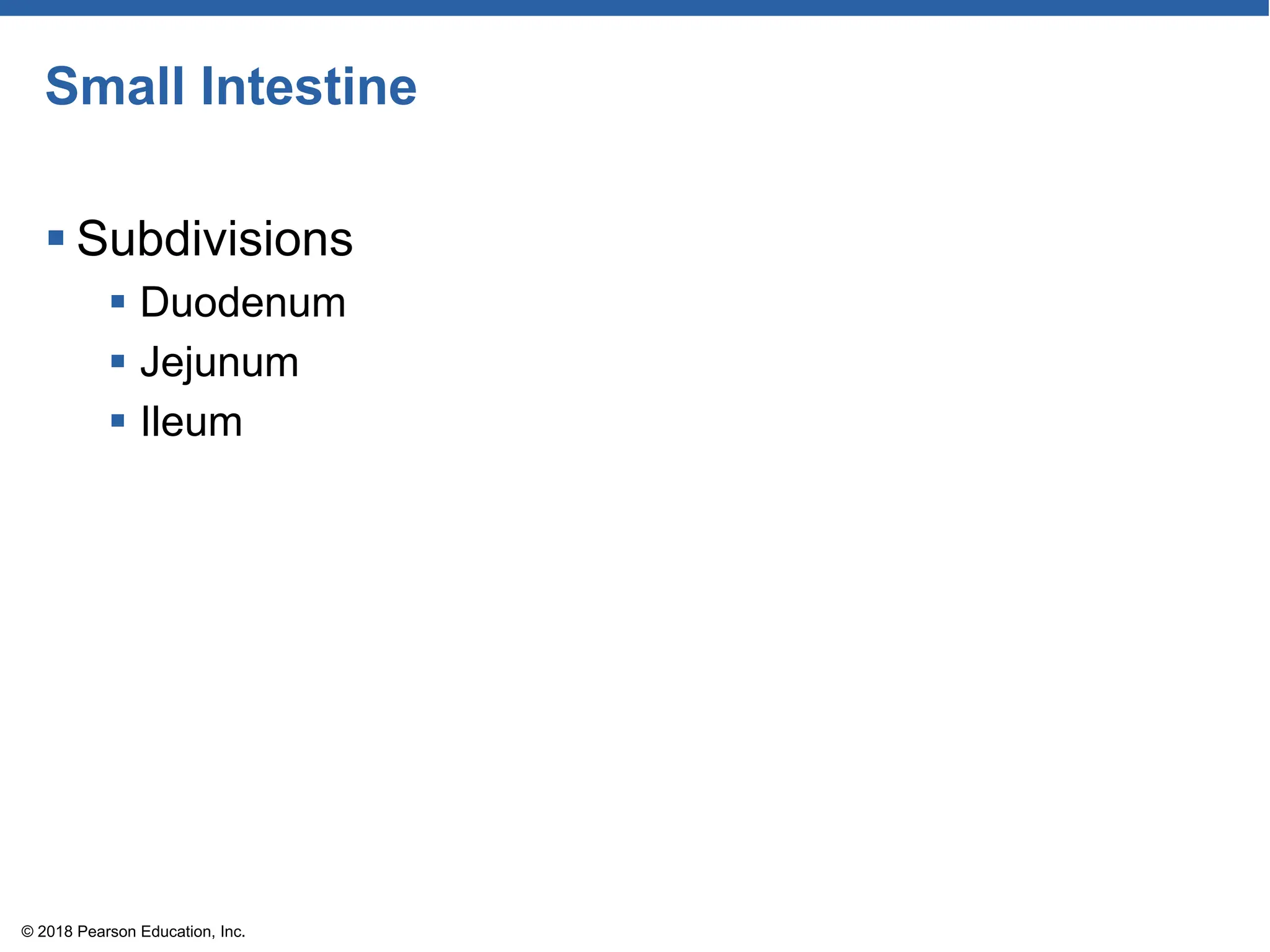 Anatomy and Physiology CHAPTER 14 Digestive System.pdf