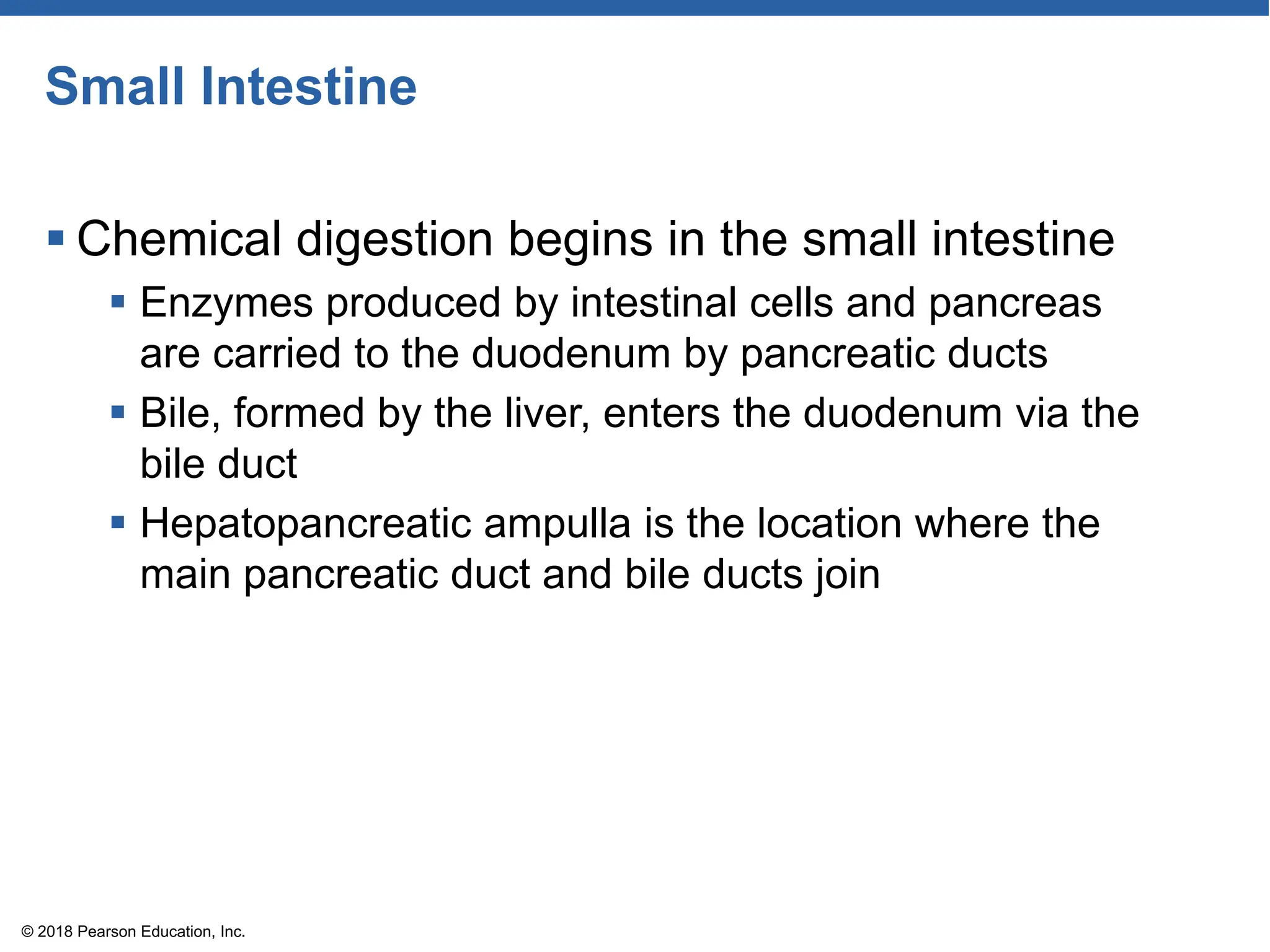 Anatomy and Physiology CHAPTER 14 Digestive System.pdf