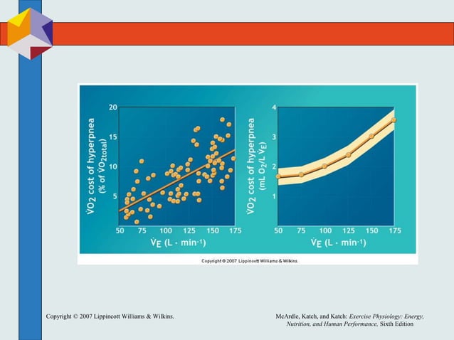 Chapter14 Dynamics of Pulmonary Ventilation (2).ppt