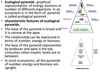 Chapter 14 ecosystem by mohanbio | PPTX