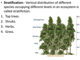 Chapter 14 ecosystem by mohanbio | PPTX