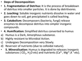 Chapter 14 ecosystem by mohanbio | PPTX