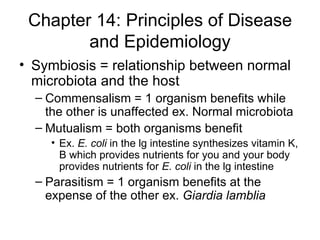 Chapter 14 epidemiology.cj
