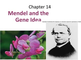 Chapter 14: Mendel and Genes | PPT