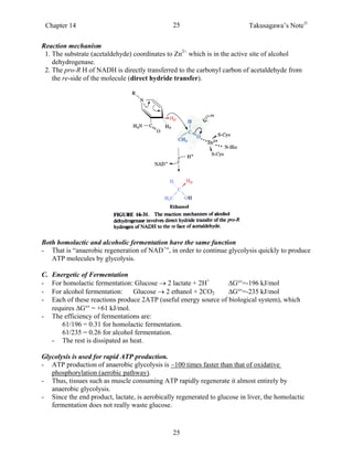 Chapter 14 glycolysis | PDF