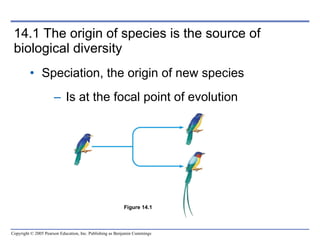 Chapter 14 The Origin of Species | PPT | Biological Sciences | Science