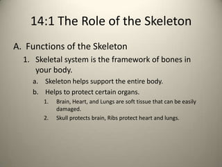 Chapter 14 Notes | PPTX