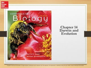 Chapter 14 Darwin and Evolution | PPTX