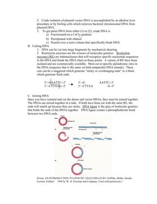 recombinent dna technology.pdf