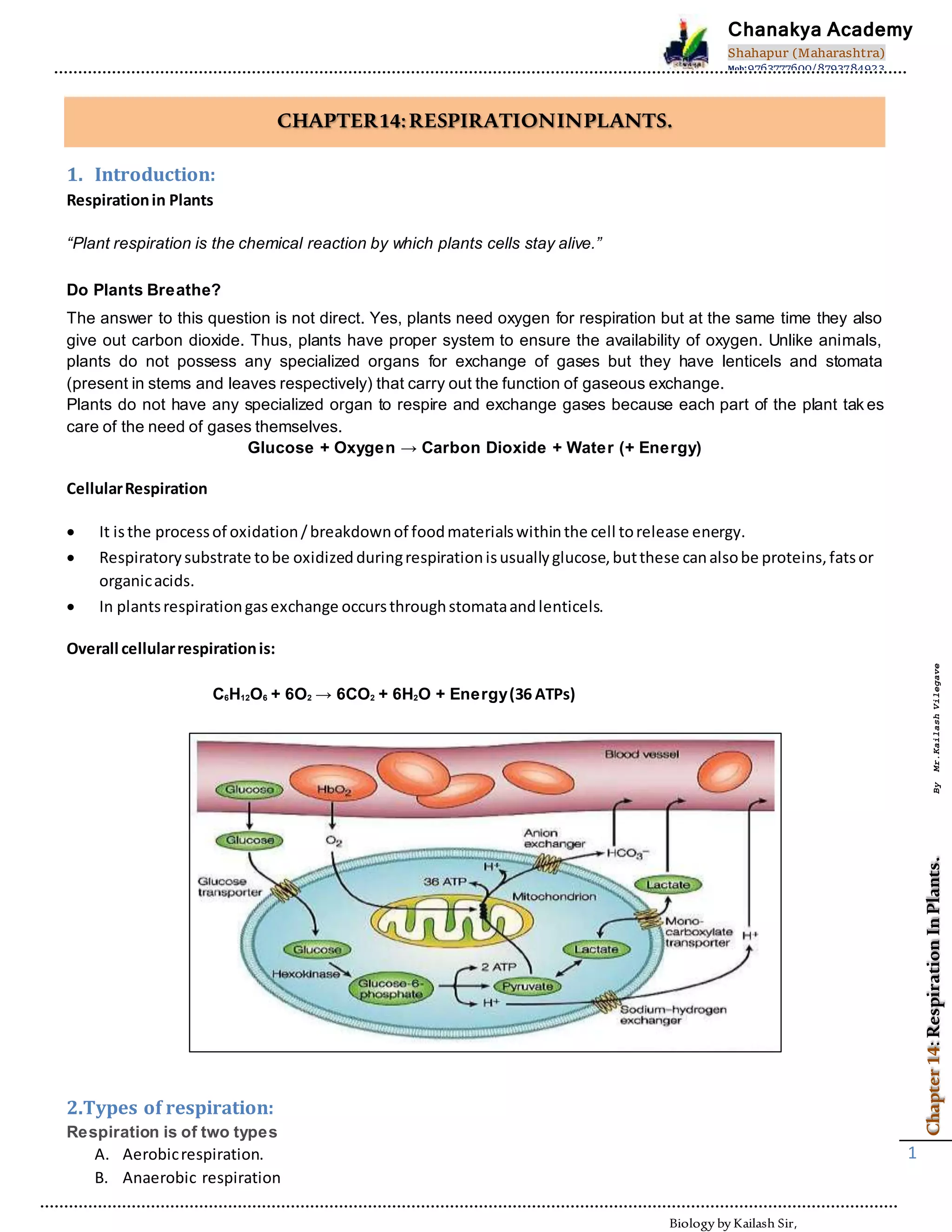 Chapter 14 respiration in plants chapter. | DOCX