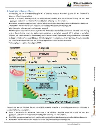 Plant Respiration Atp