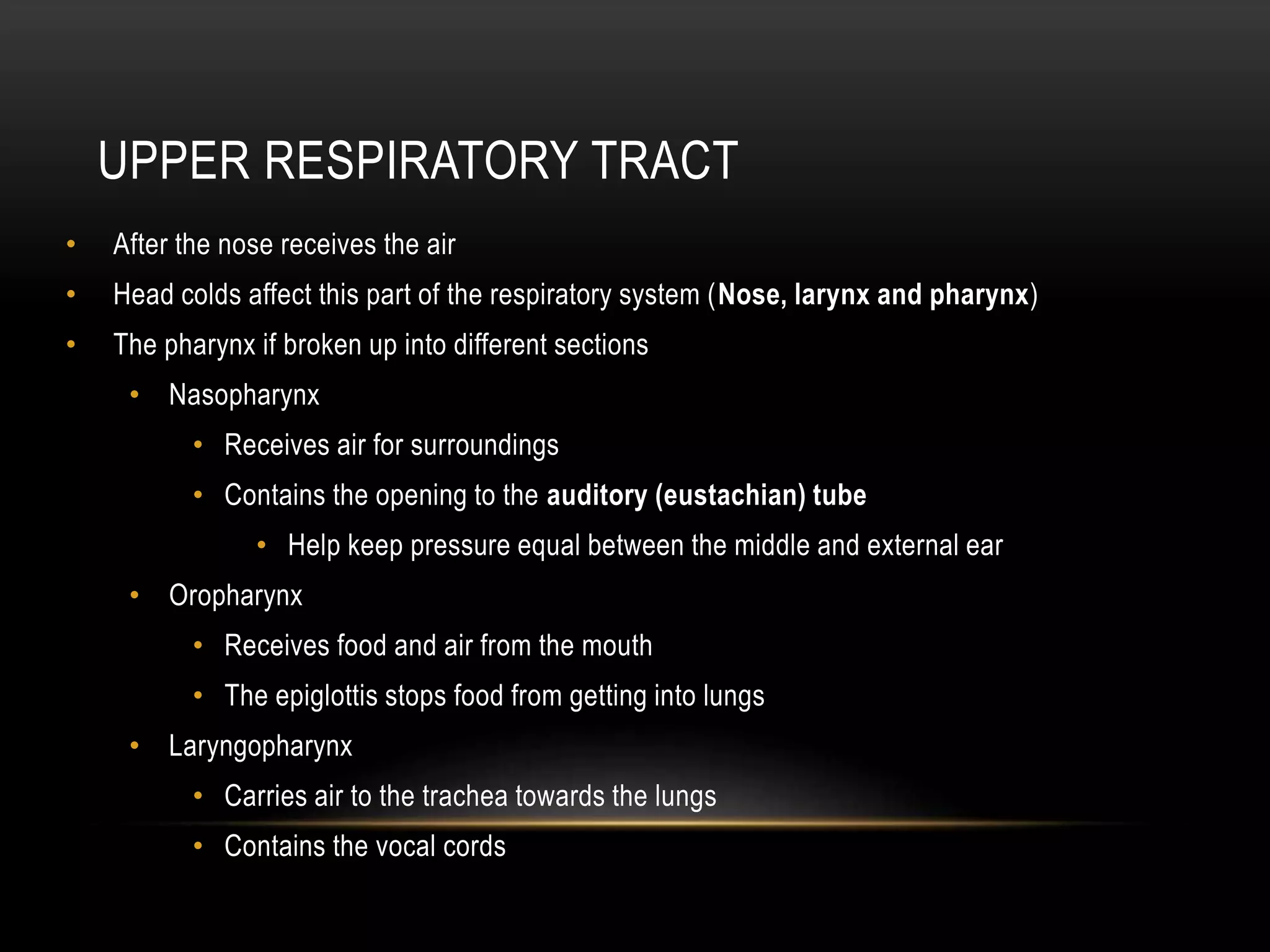 Chapter 14 Study Guide(1).ppt
