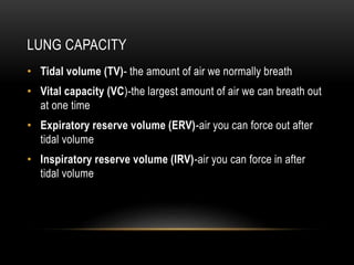 Chapter 14 Study Guide(1).ppt